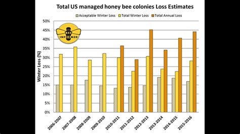 Pesticides Habitat Loss Among Reasons For Widespread Bee Deaths