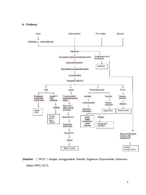 Pathway Hipertensi Pdf