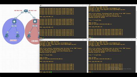 01 Configuration Dun Serveur Dhcp Sur Un Routeur Cisco Avec Eve Ng Tutoriel Complet Youtube