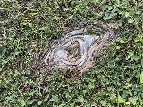 Definition For Test Case Values Tentamen Software Testing Blog