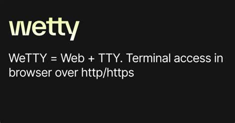 how to access a linux server terminal via web browser using the wetty