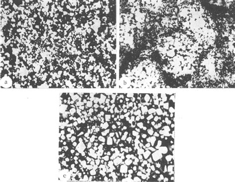 Microstructure Of Sintered Tic Niti Alloys Of Various Niti Contents