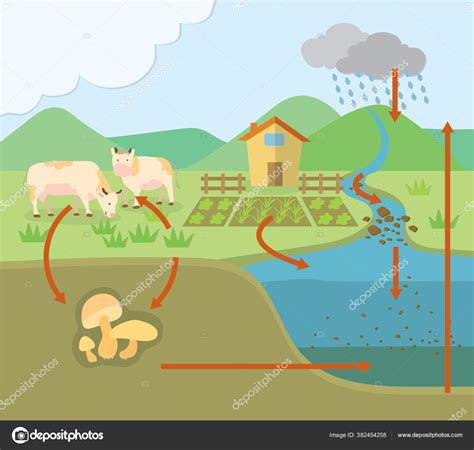Ciclo Del Fosforo Dibujo Ciclos Biogeoquímicos