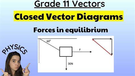 Grade 11 Closed Vector Diagrams Forces In Equilibrium Youtube