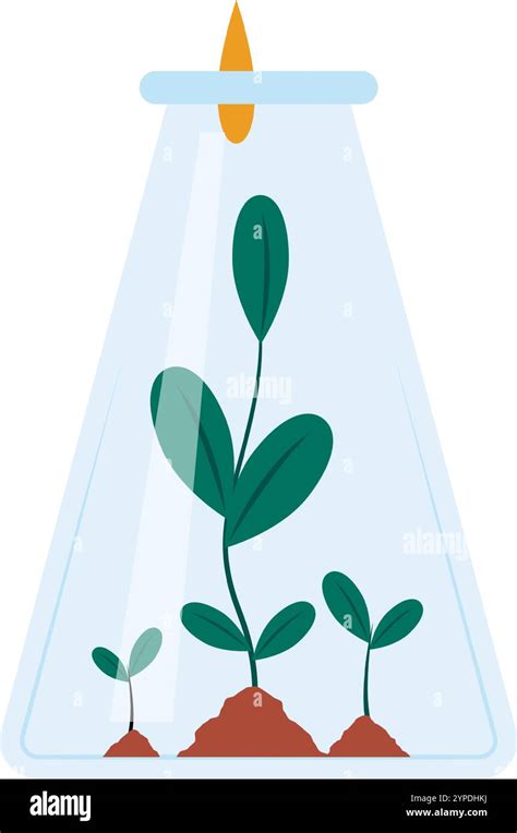 Plants Growing Inside A Laboratory Flask During An Experiment With Chemical Drops Falling From