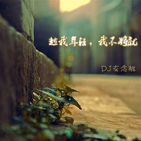 趁我年轻我不将就 有声电台 听蛙纯音乐网