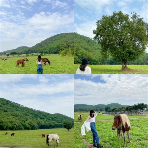 📍9 พิกัดเขาใหญ่ฟีลต่างประเทศ มู้ดดีแน่นอน 🍃 แกลเลอรีที่โพสต์โดย Naynae🧸 Lemon8