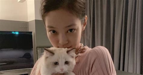 블랙핑크 제니 고양이와 셀카 공개고양이 그 자체