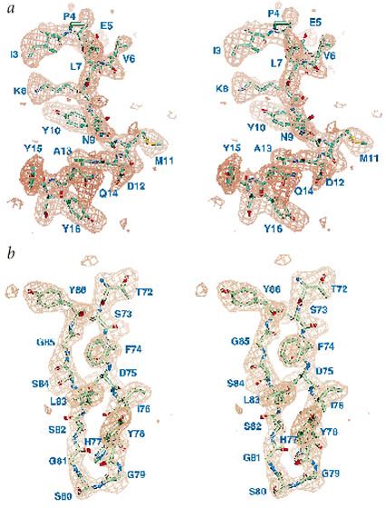 Stereoview Of The Calculated Electron Density For Omit Fo Fc Electron Download Scientific