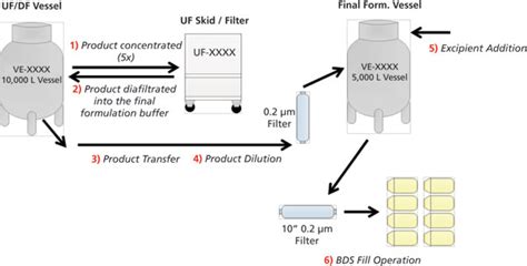 Deviation Investigation Format And Content A Guide For Inspection Success Pharmaceutical