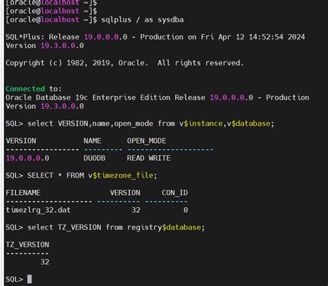 Nâng Cấp Oracle Database Lên 19c Từ Bản 12c Sử Dụng Dbua Datalinks Vn