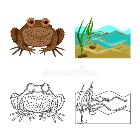 Vector Illustration Of Wildlife And Bog Icon Set Of Wildlife And Reptile Stock Vector