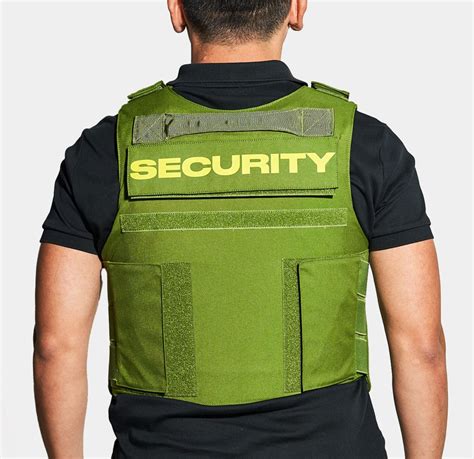Security Patch Ace Link Armor