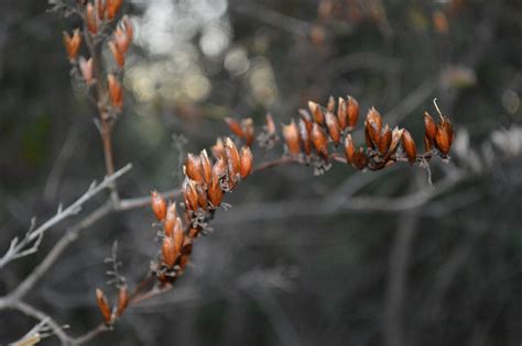 M S De Fotos De Chicos Calientes Y Calientes Gratis Pixabay