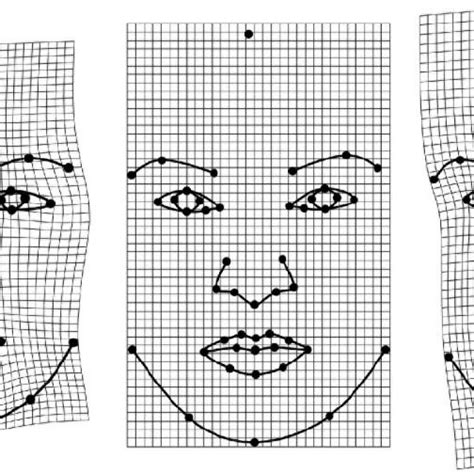 Visualization Of The Shape Regression On Perceived Female Facial