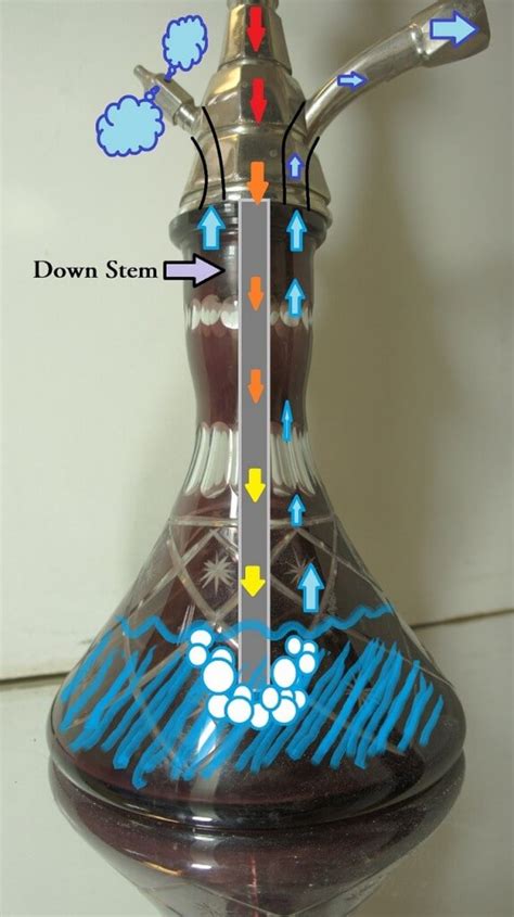 How To Assemble A Hookah Beginner Hookah Guides 2 2