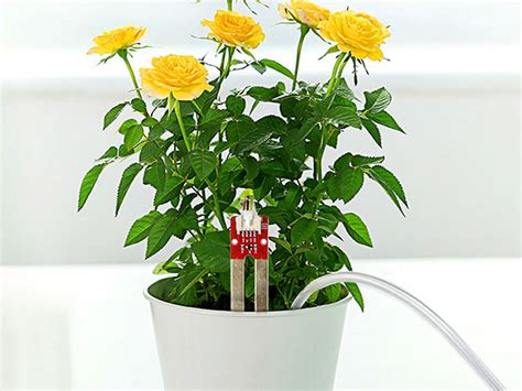 Arduino Automatic Smart Plant Watering Kit 2 0 Joyus