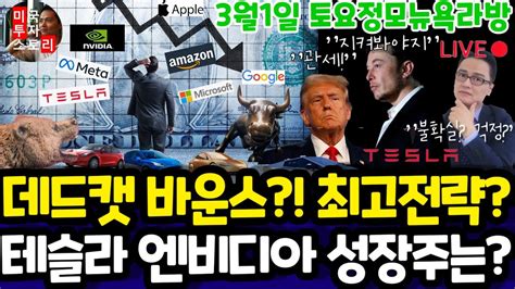 미국주식데드캣 바운스 최고전략비중공개와 종목분석테슬라 엔비디아 구글 애플 아마존 메타 마이크로소프트 팔란티어 아이온큐 리게티 Smci Lly 노보등 Tsla