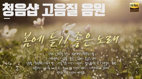 고음질 가요 음원 🏵 봄에 듣기 좋은 가요모음 🏵 청음샵고음질음원 감성뿜뿜 기분 좋은 음악 Youtube