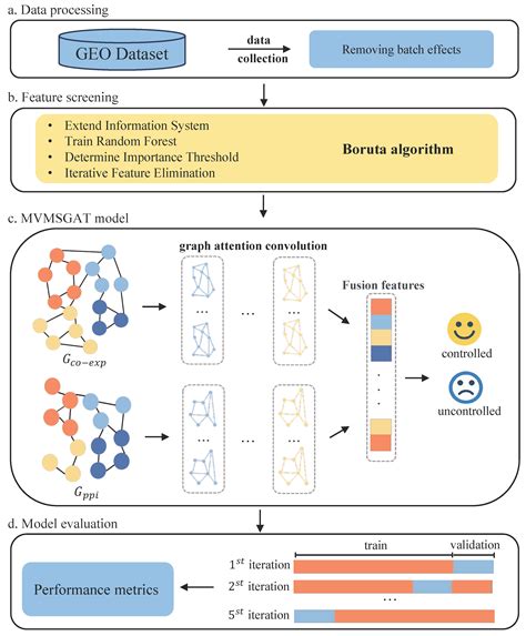 Mvmsgat Integrating Multiview Multi Scale Graph Convolutional Networks With Biological Prior