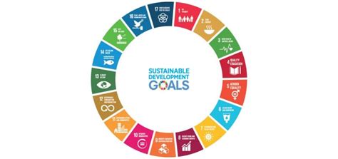 Biopractify Sustainabledevelopment Biotechnology Sdgs Climateaction Bioinnovation