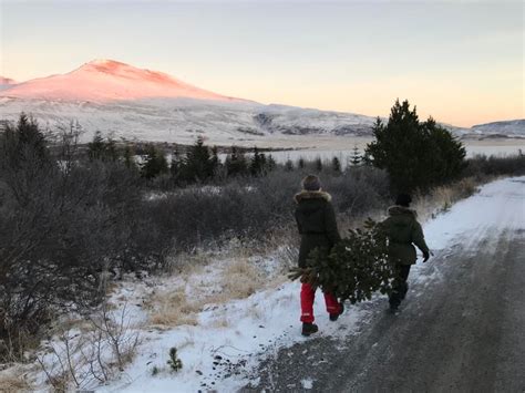 ¡feliz Navidad Frohe Weihnachten Срећан Божић The Jambar
