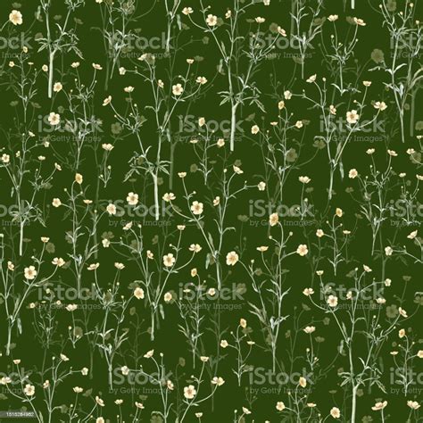 Ranunculus Acris Sitfast Spearworts 또는 Water Crowfoots로 알려진 노란색 꽃 초원