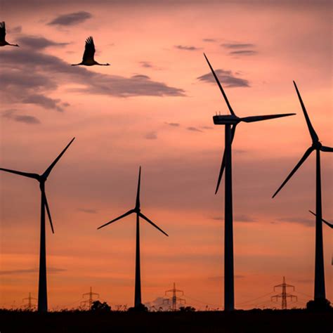 Fg Topografia Parque Eólico