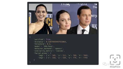 Top 6 Open Source Face Recognition Projects Boardor