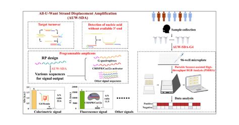 All U Want” Strand Displacement Amplification A Versatile Signal Amplification Method For