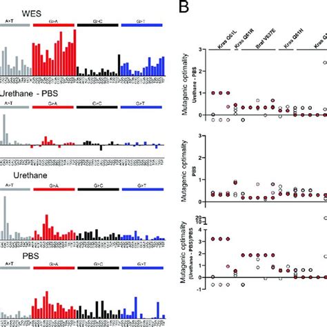 Multiple Mutational Processes Contribute To Putative Genomic Driver