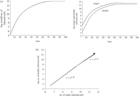 Computer Simulation Results Assuming An Intermediate Degree Of Spatial