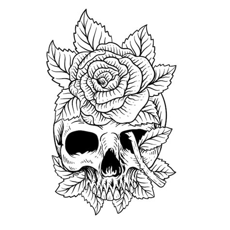 Black And White Skull And Rose Drawings