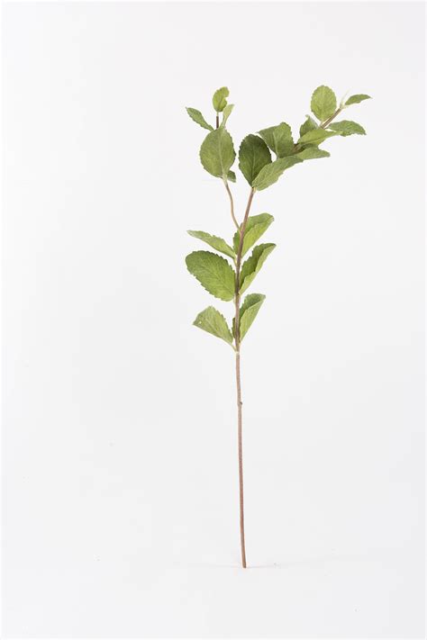Artificial Mint Stem Shop Lifelike Flowers