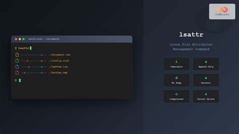 Lvdisplay Command Linux Complete Guide To Display Logical Volume Information Codelucky