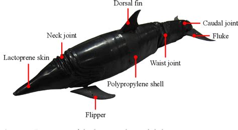 Figure 1 From Quantifying The Leaping Motion Using A Self Propelled Bionic Robotic Dolphin