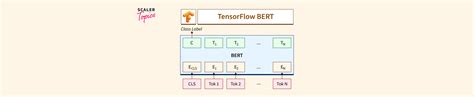 Bert Using Tensorflow Scaler Topics