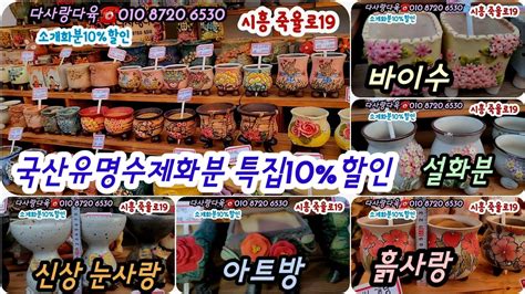 연말시즌 국산수제분 연말10특별쎄일 해요~신상눈사랑 아트방 흙사랑 설화분 바이수분등유료광고포함 Youtube