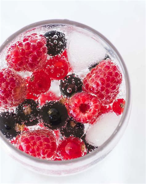 Bitter Wild Berry Aperitif Without Sugar Without Sweeteners