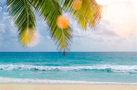 푸른 하늘 흰색 구름 추상적 인 배경열대 해변과 자연 녹색 야자수 잎입니다 여름 휴가 및 비즈니스 여행 개념의 공간을 복사합니다 빈티지 톤 필터 색상 스타일입니다 계절에