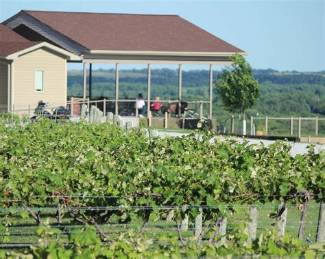 The 10 Best Nebraska Wineries And Vineyards To Visit 2025