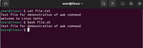How To Use Awk Command In Bash Linux Genie
