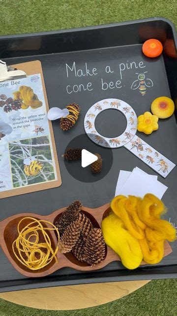 Katie Taylor On Instagram World Bee Day Is On The 20th Of May 🐝 My