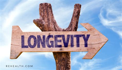 Stem Cells For Longevity The Secret To Better Skin Sleep And Sex