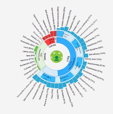 IBM Watson Personality Insights Alex Gustafson