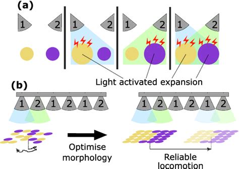 Figure 1 From Evolving Morphologies For Locomoting Micro Scale Robotic Agents Semantic Scholar