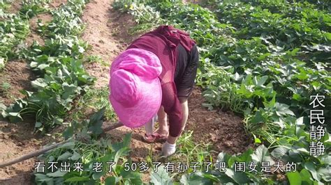 种红薯怎样才能高产？农村大妈教你一招，红薯高产还个头大 Youtube