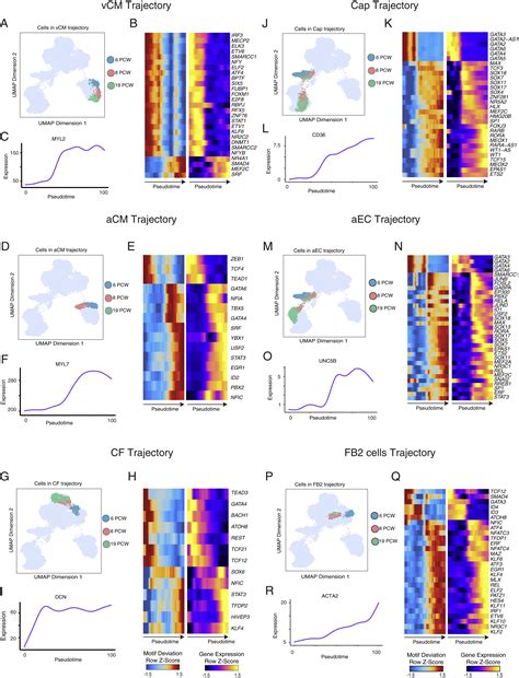Integrative Single Cell Analysis Of Cardiogenesis Identifies