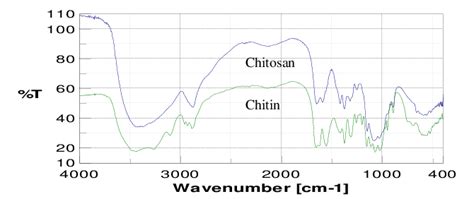 Ftir Spectra For Chitin And Chitosan Download Scientific Diagram