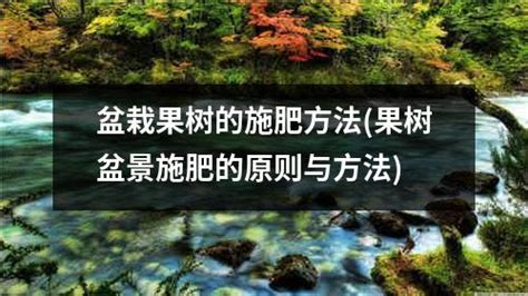 盆栽果树的施肥方法果树盆景施肥的原则与方法 养花经验